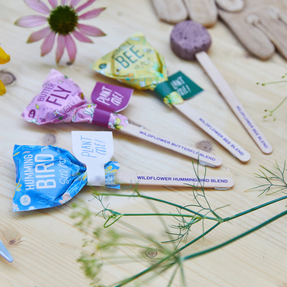 Modern Sprout - Seed Pop - Butterfly – Modern Burlap